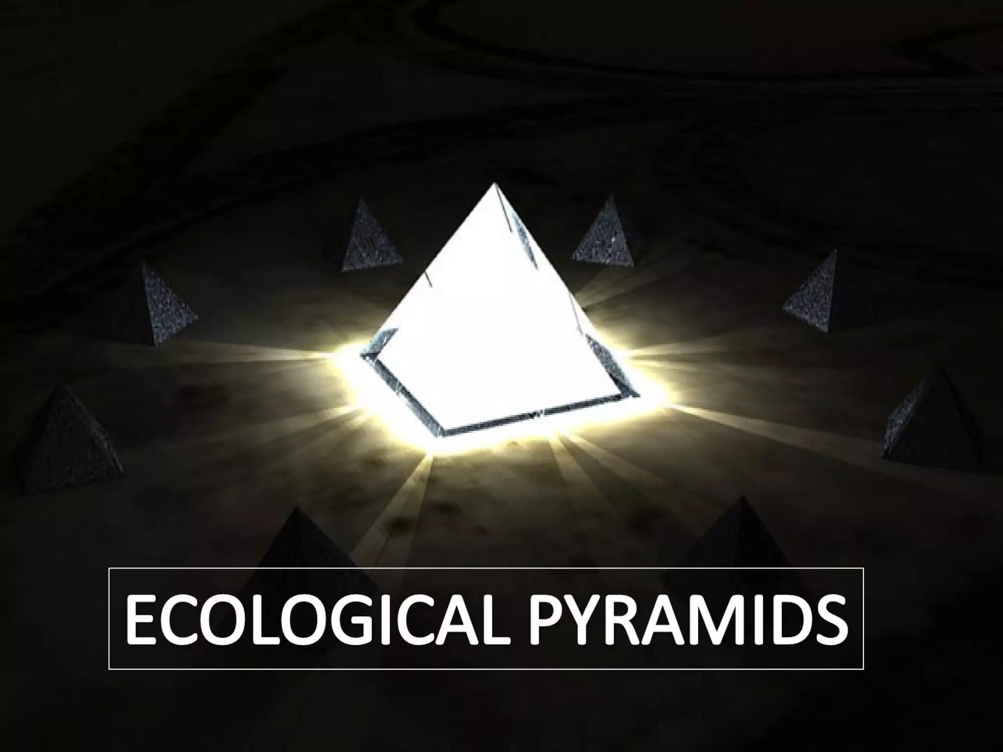 Food chain,food web and ecological pyramids | PPT