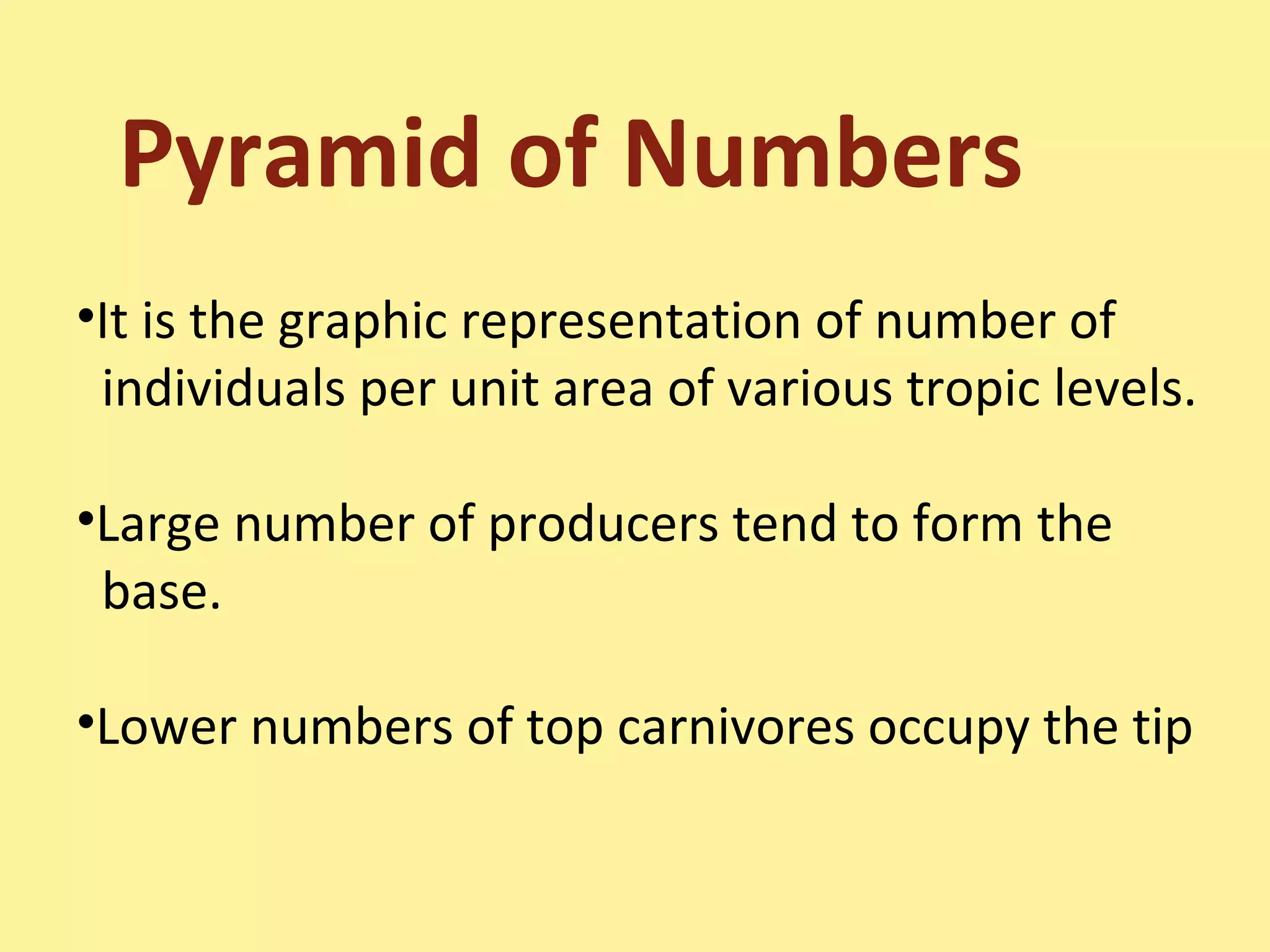 Food chain,food web and ecological pyramids | PPT