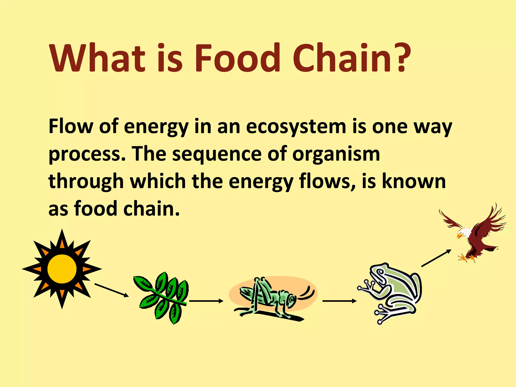Food chain,food web and ecological pyramids | PPT