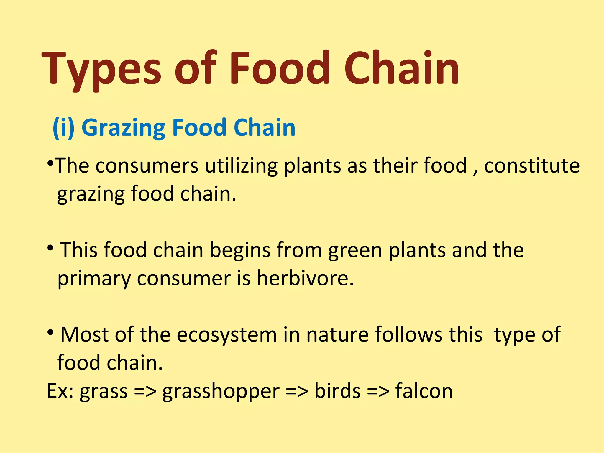 Food chain,food web and ecological pyramids | PPT