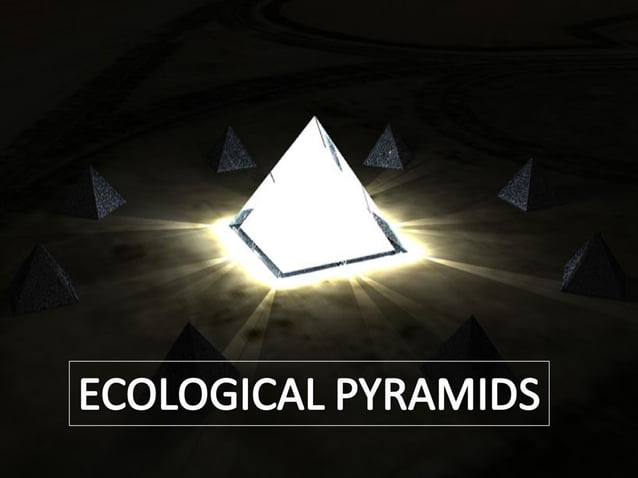 Food chain,food web and ecological pyramids