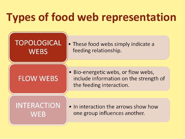 Food Chains and Food WEB | PPTX