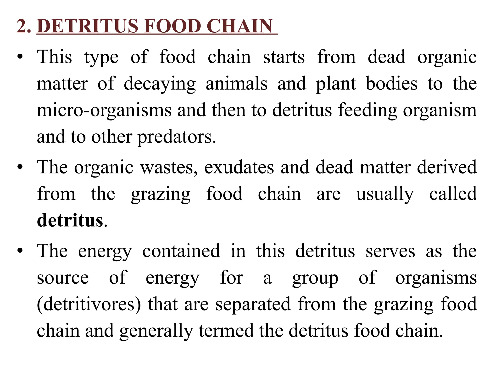 FOOD CHAIN, FOOD WEB AND ECOLOGICAL PYRAMIDS.pptx