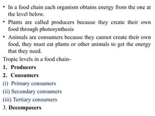 FOOD CHAIN, FOOD WEB AND ECOLOGICAL PYRAMIDS.pptx