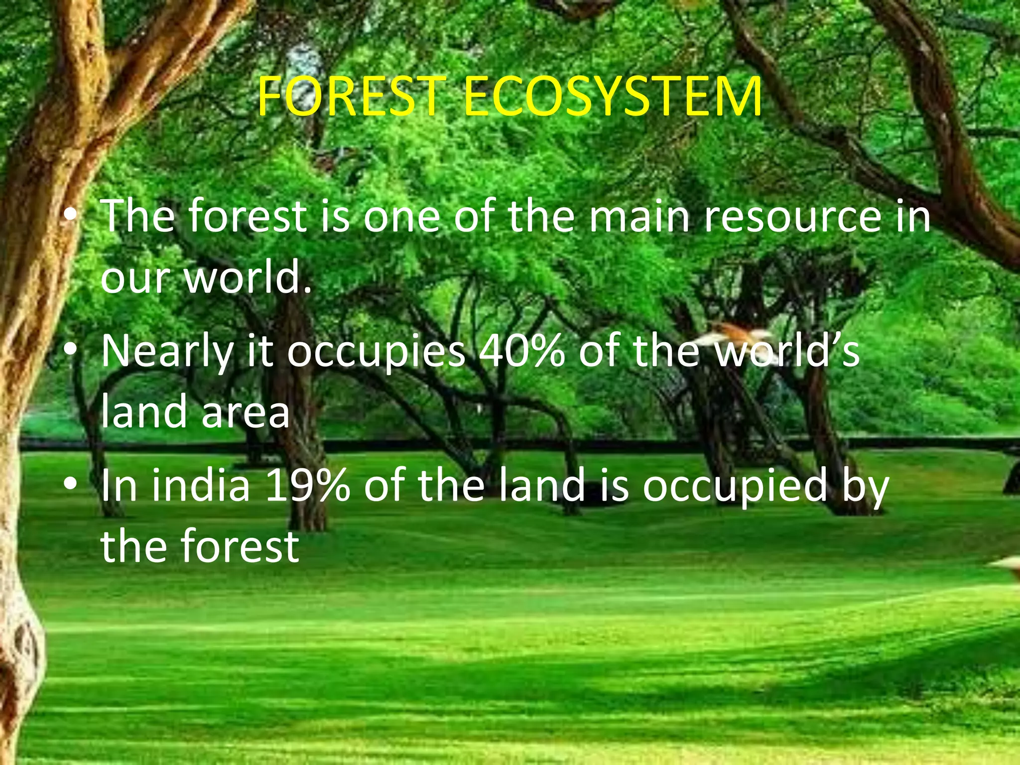 Food chain,food web, forest ecosystem | PPTX