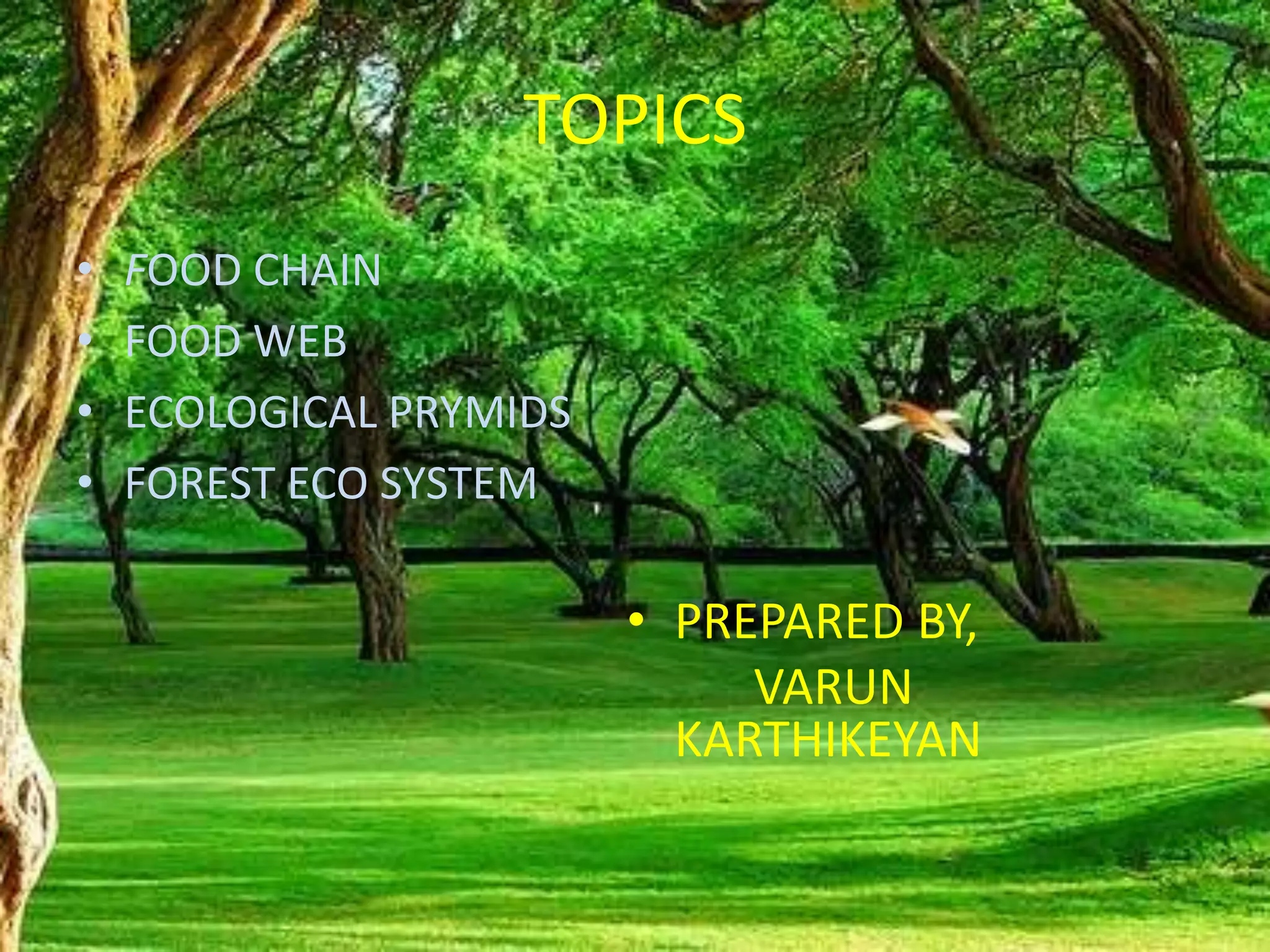 Food chain,food web, forest ecosystem | PPTX