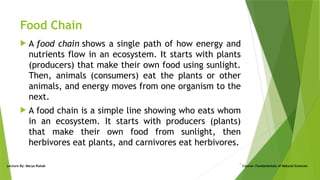 Food chain, Food Web & Threats atto.pptx