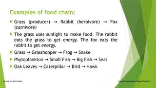 Food chain, Food Web & Threats atto.pptx