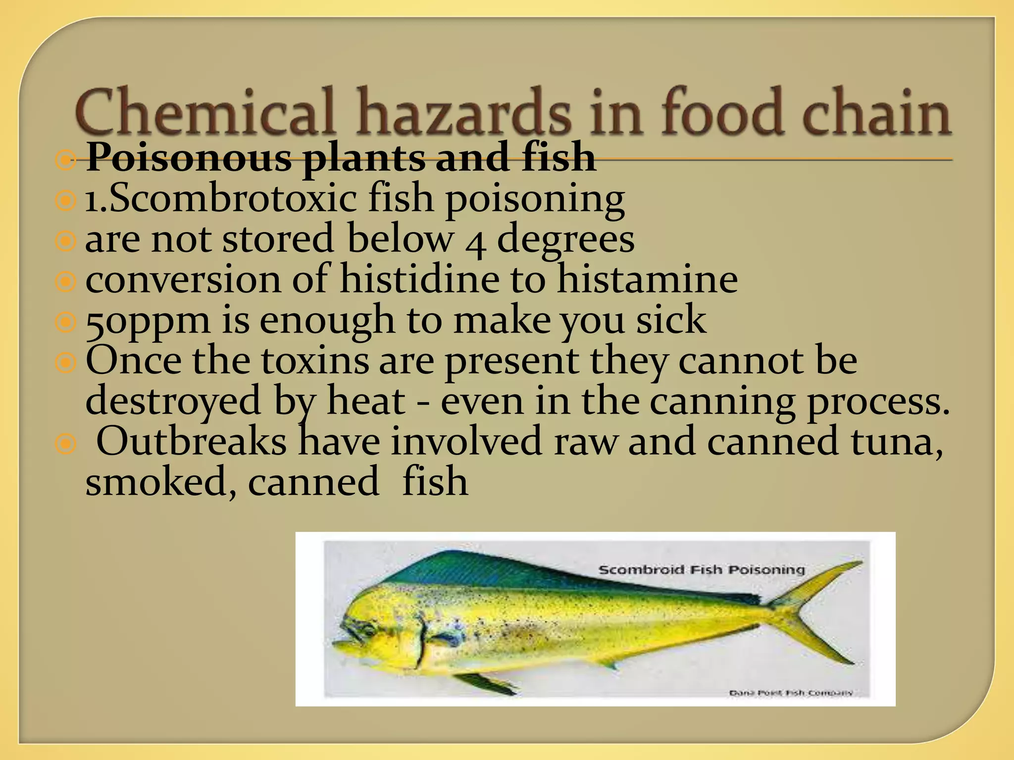 Food chain hazard scenario | PPTX