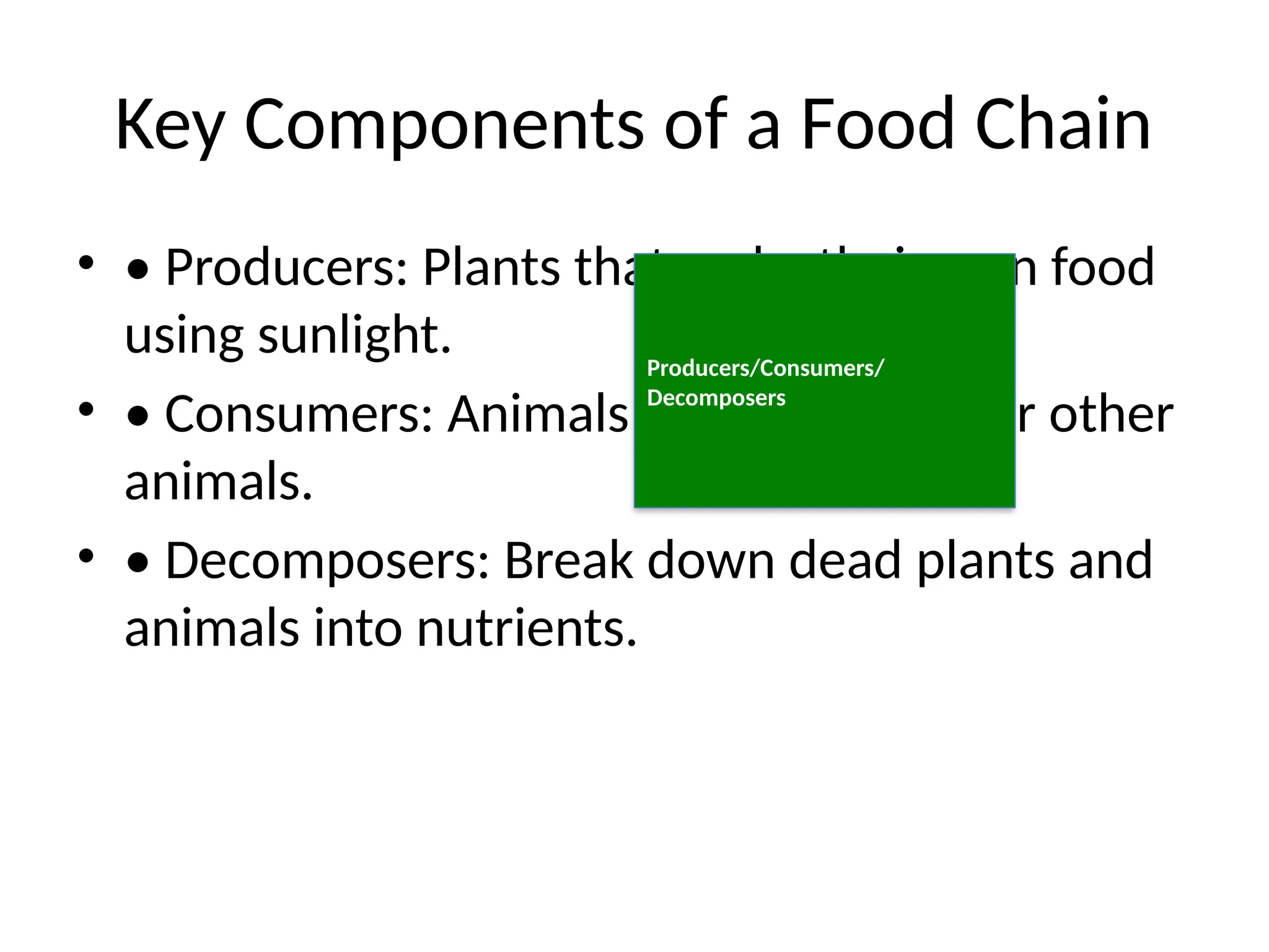 Food_Chain_Presentation_With_Images (1).pptx