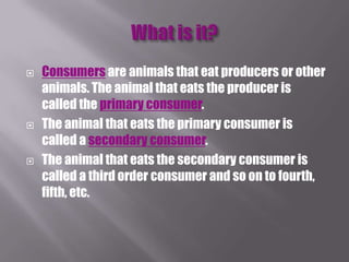 Amelia "Lia' Gutierrez Presentation | PPTX