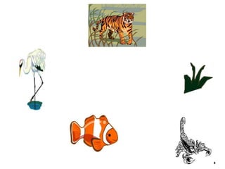 Food chain rash 1 | PPTX