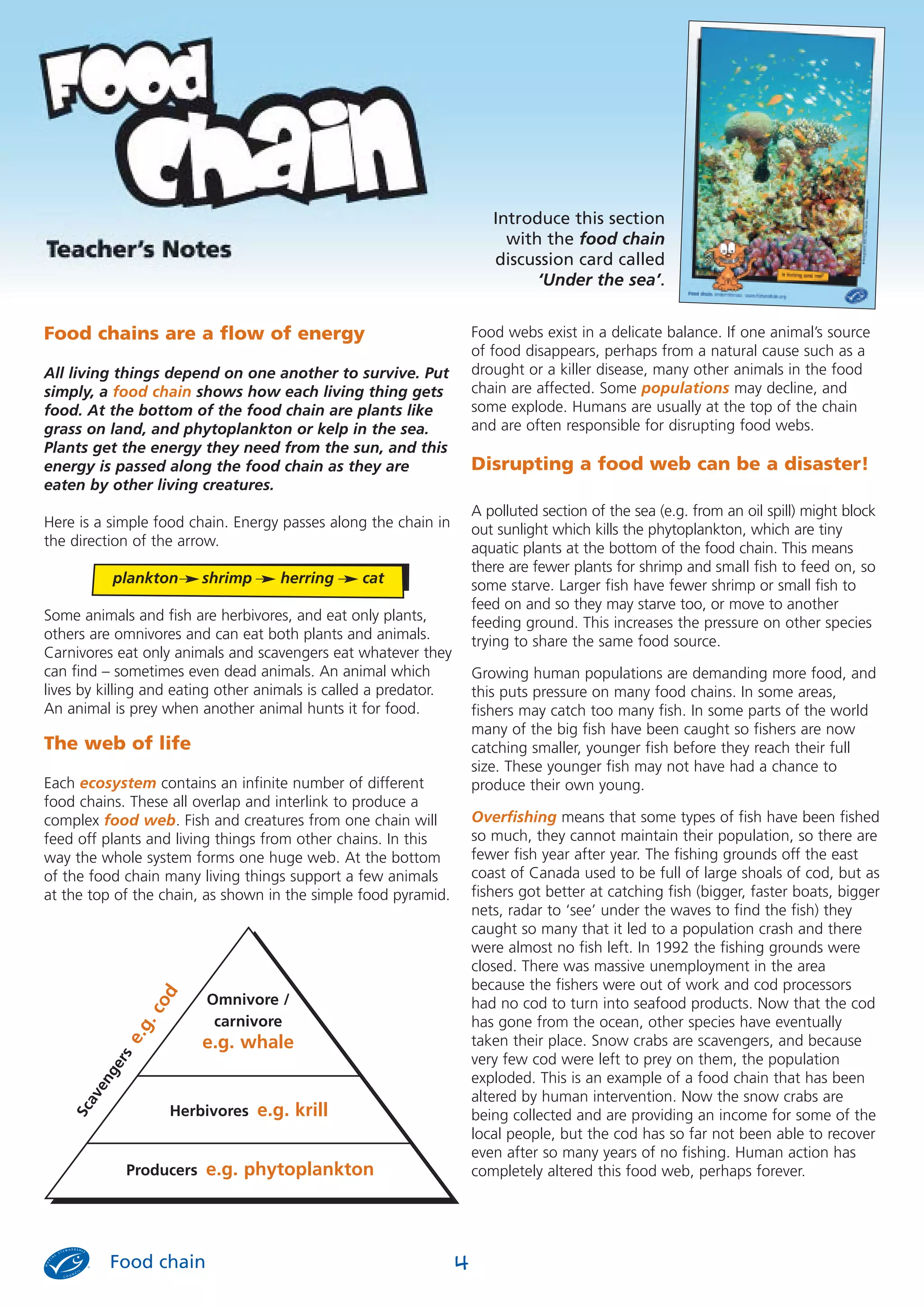Food chain review sheet | PDF