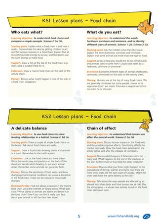 Food chain review sheet | PDF