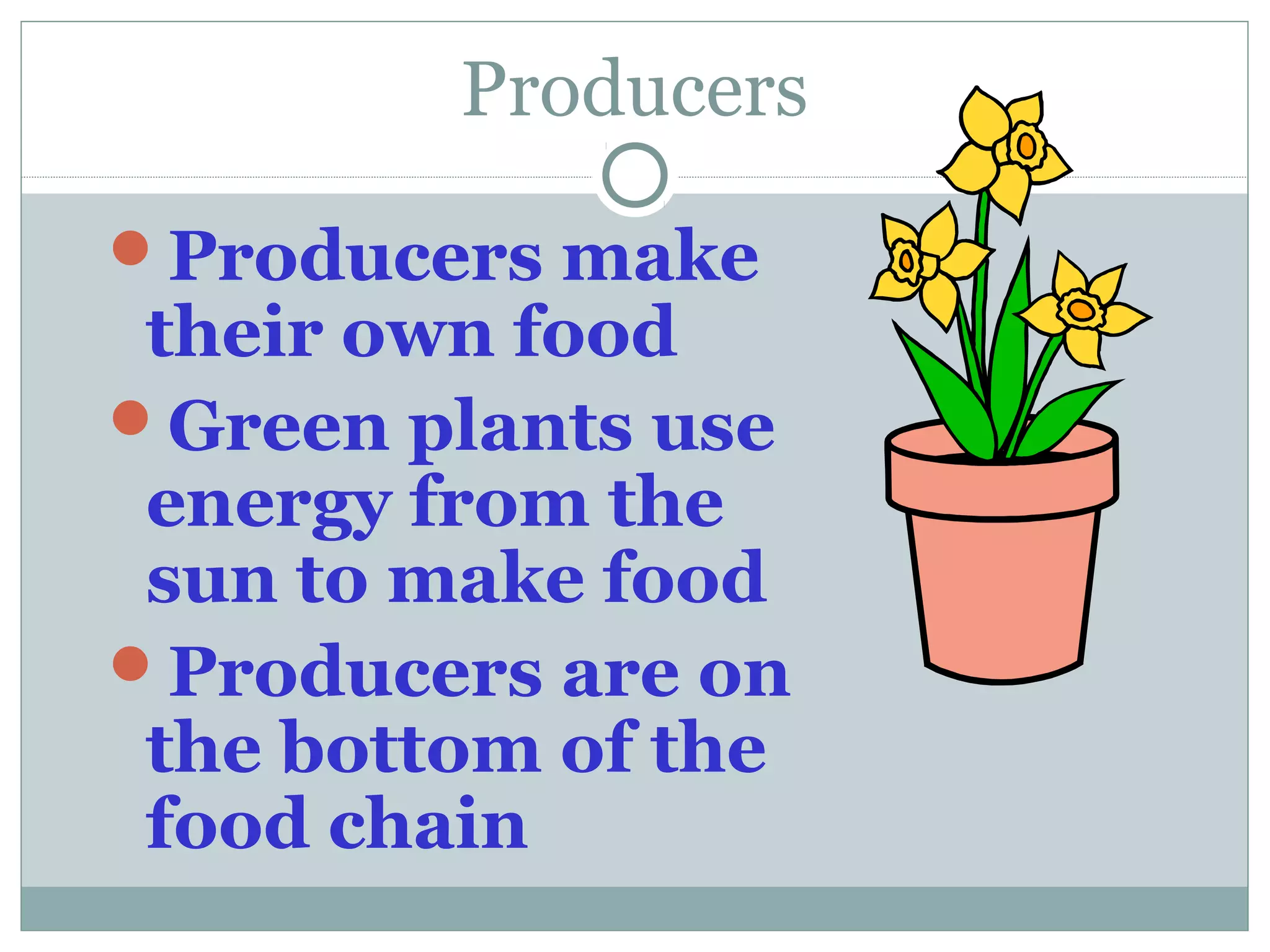 Food chains | PPT