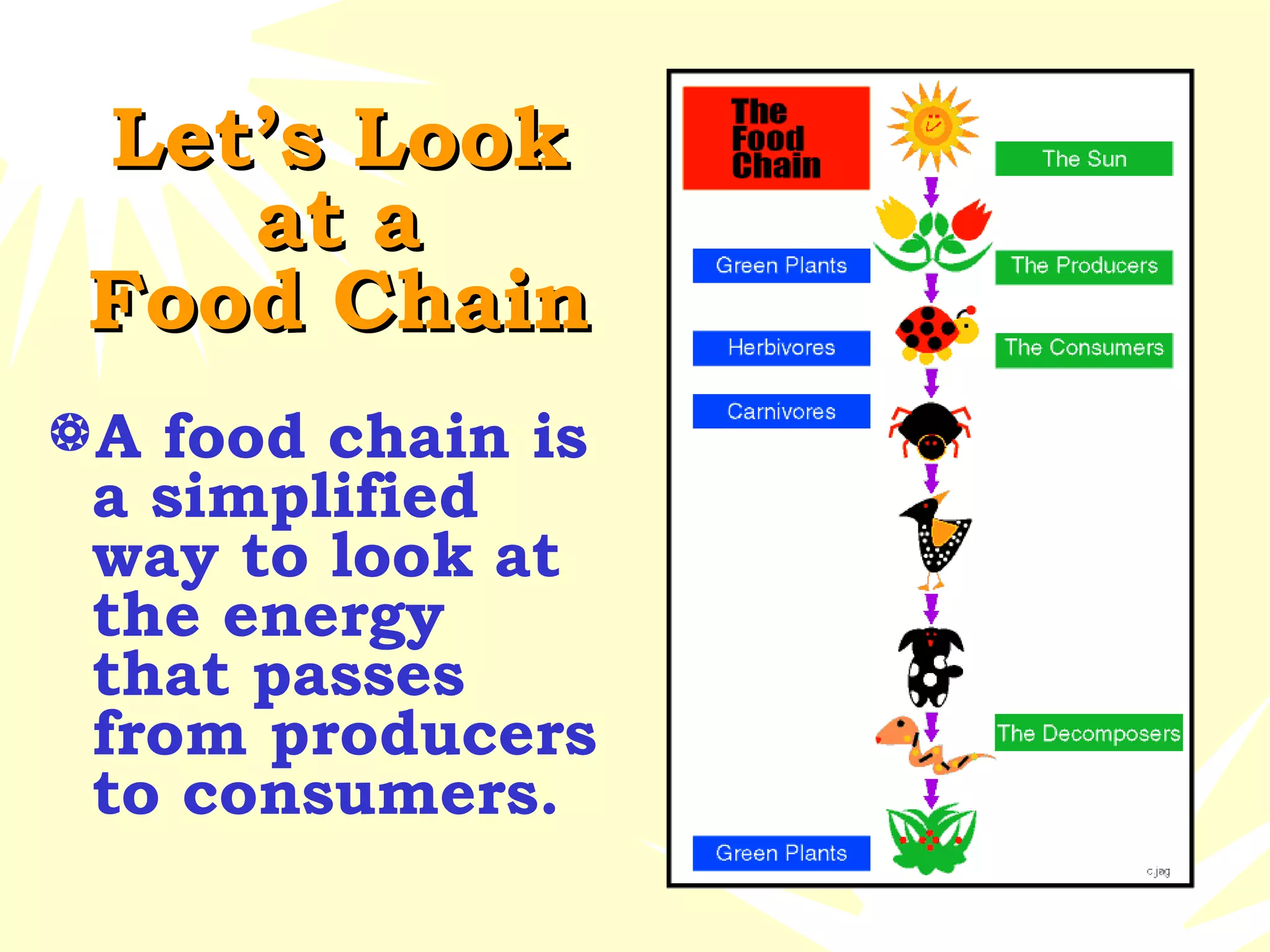 Food chains | PPT