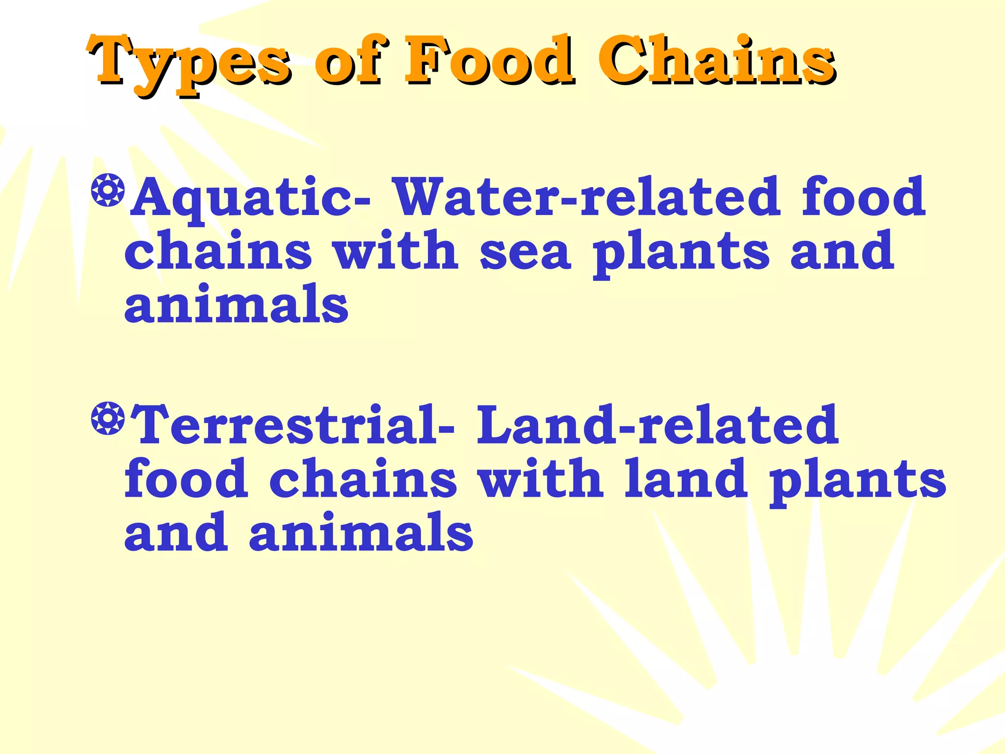 Food chains | PPT