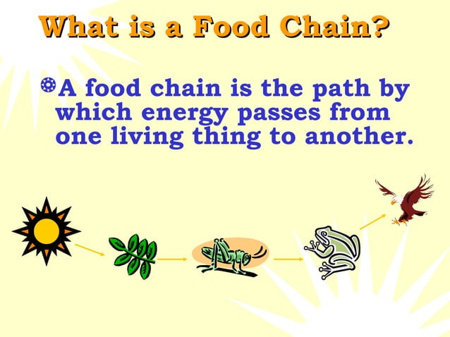 Food chains | PPT | Food Industry | Industries