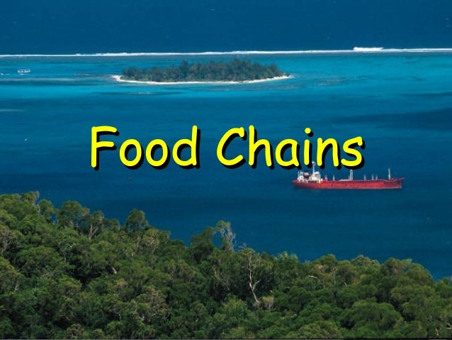 Coastal Prairie Food Chain
