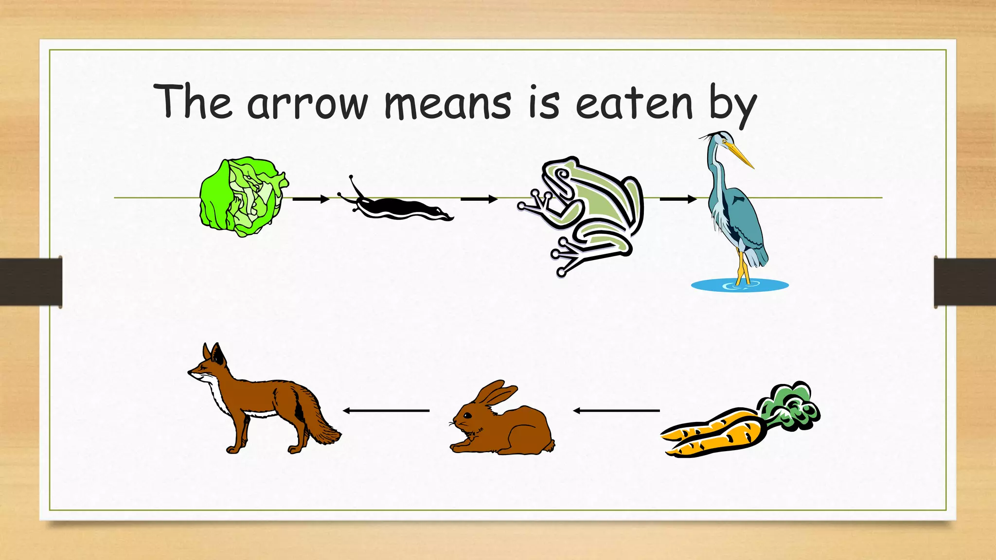 FOOD CHAINS UNIT 3 YEAR 3 | PPTX