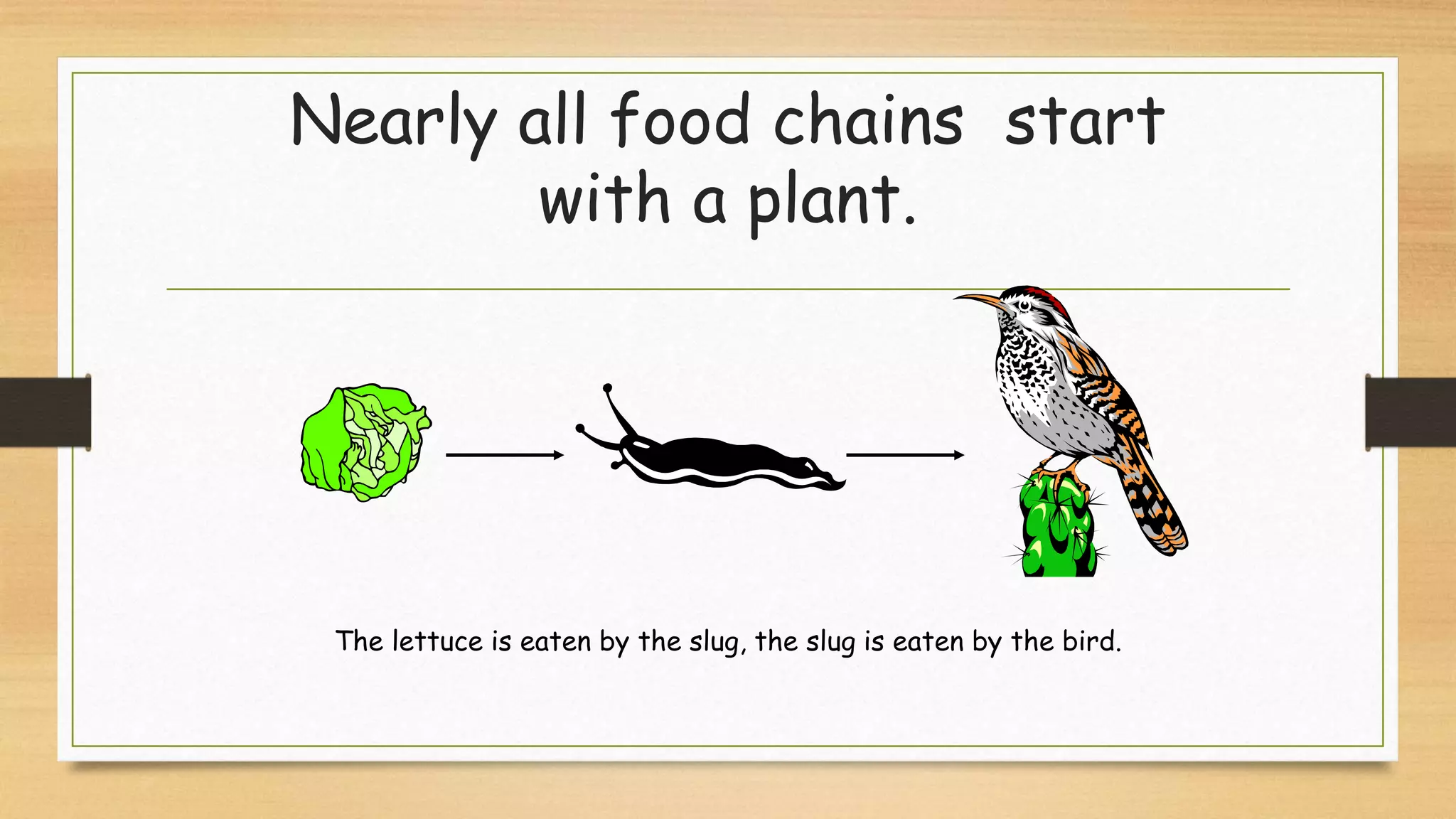 FOOD CHAINS UNIT 3 YEAR 3 | PPTX