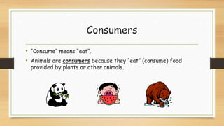 FOOD CHAINS UNIT 3 YEAR 3 | PPTX
