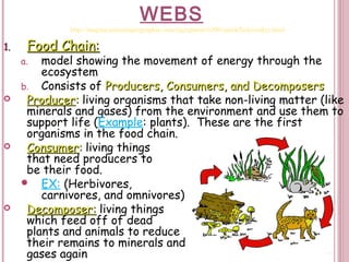 food and web chain | PPT