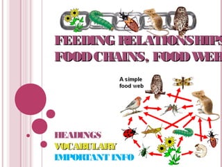 food and web chain | PPT
