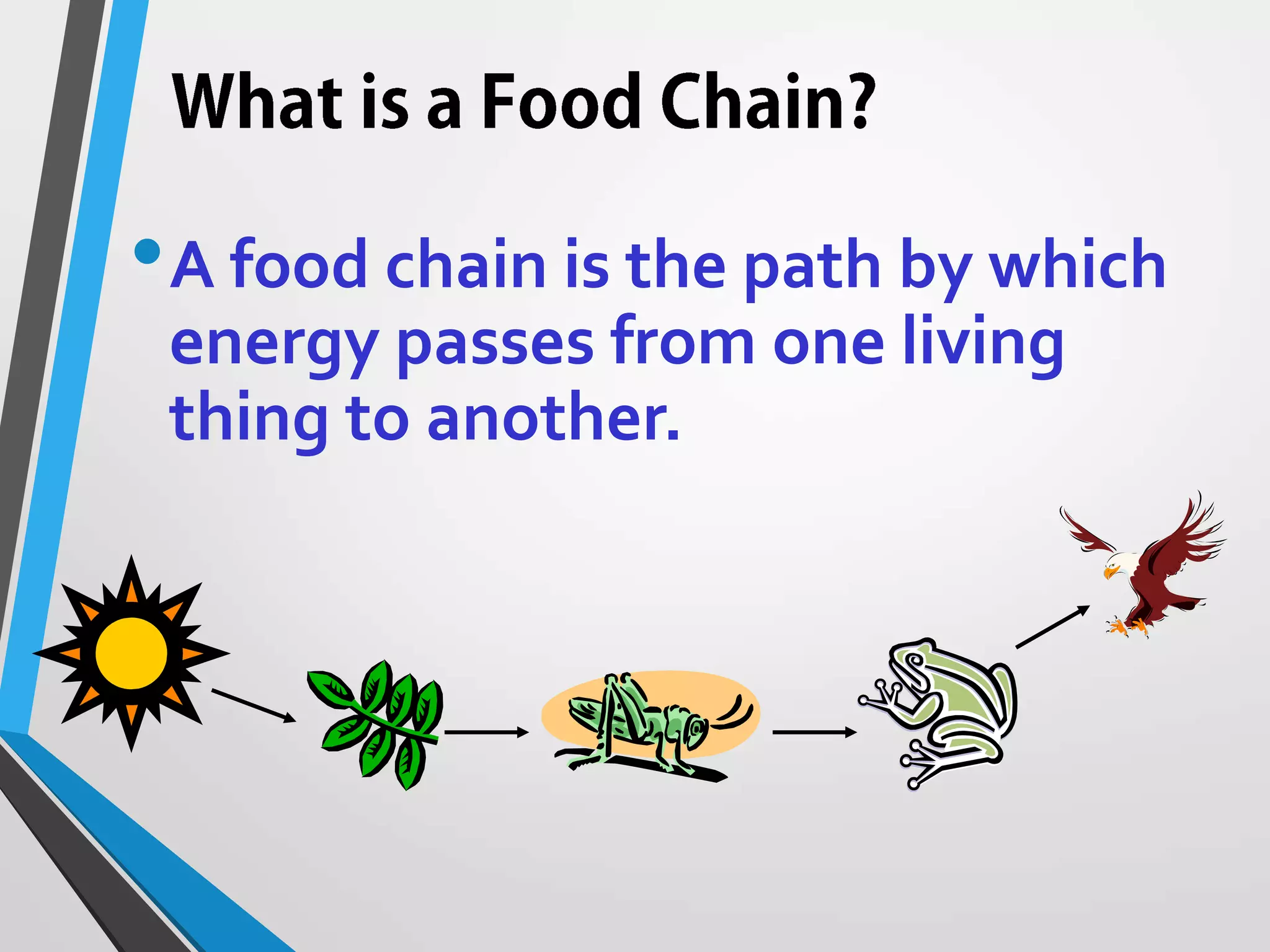 FoodChains.ppt