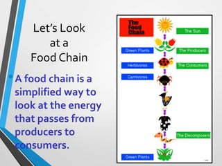 FoodChains.ppt