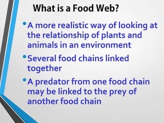 FoodChains.ppt