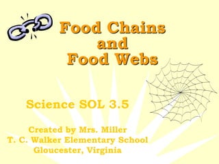 FoodChains.ppt