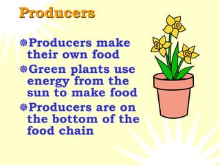 FoodChains.ppt