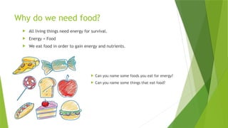 Food chains - Transfer of energy - 3rd Grade | PPTX