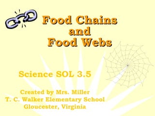 FoodChains which produce enegry in ecosystem.ppt