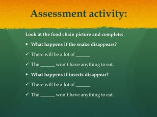 Food chains (5th level) | PPTX