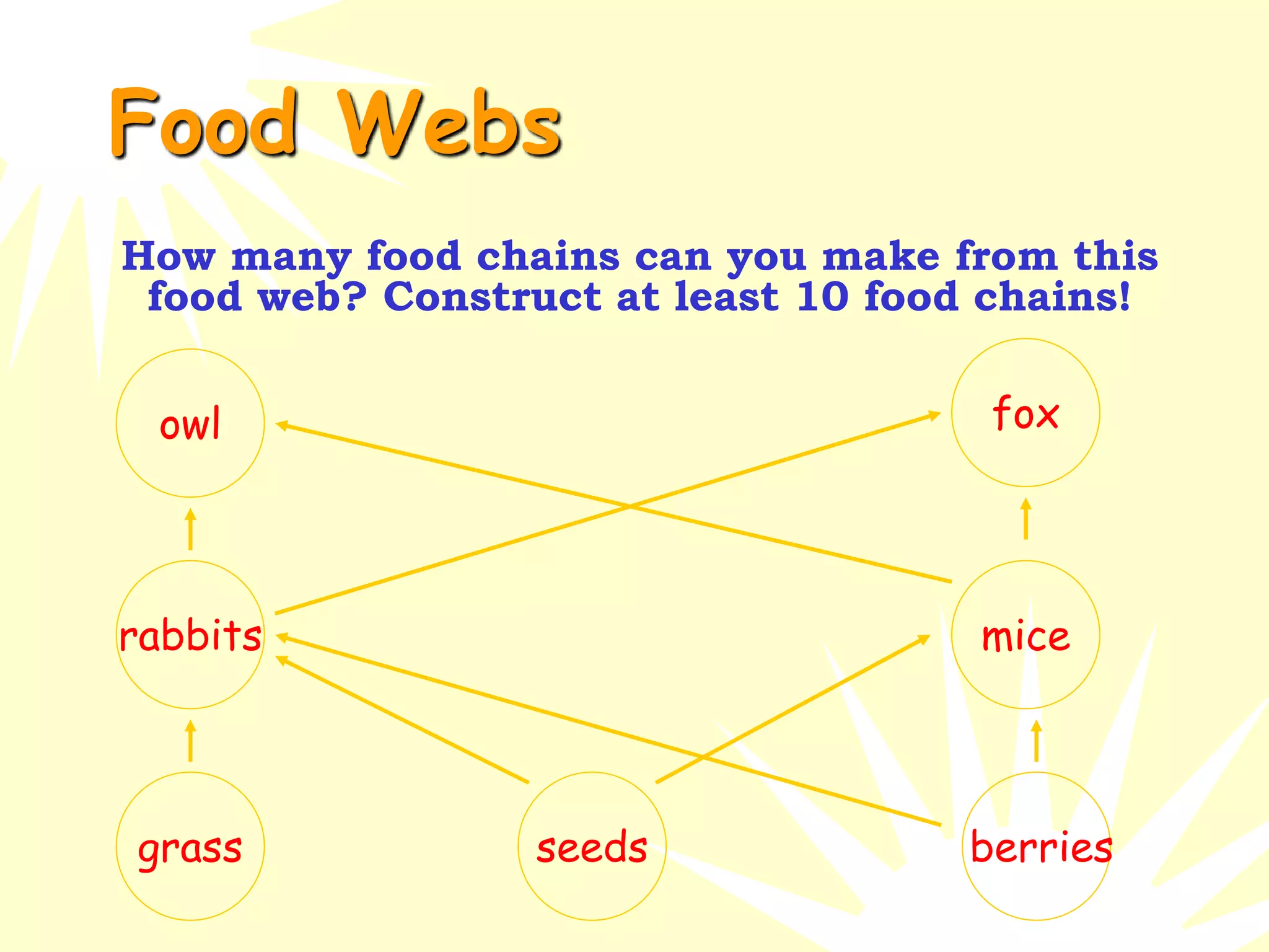 Food Chains and Food Web.ppt | Food & Drink