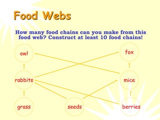 Food Chains and Food Web.ppt