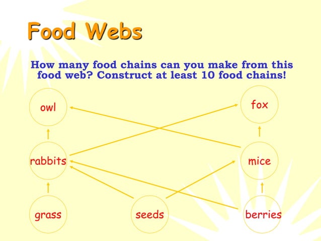 Food Chains and Food Web.ppt | Food & Drink