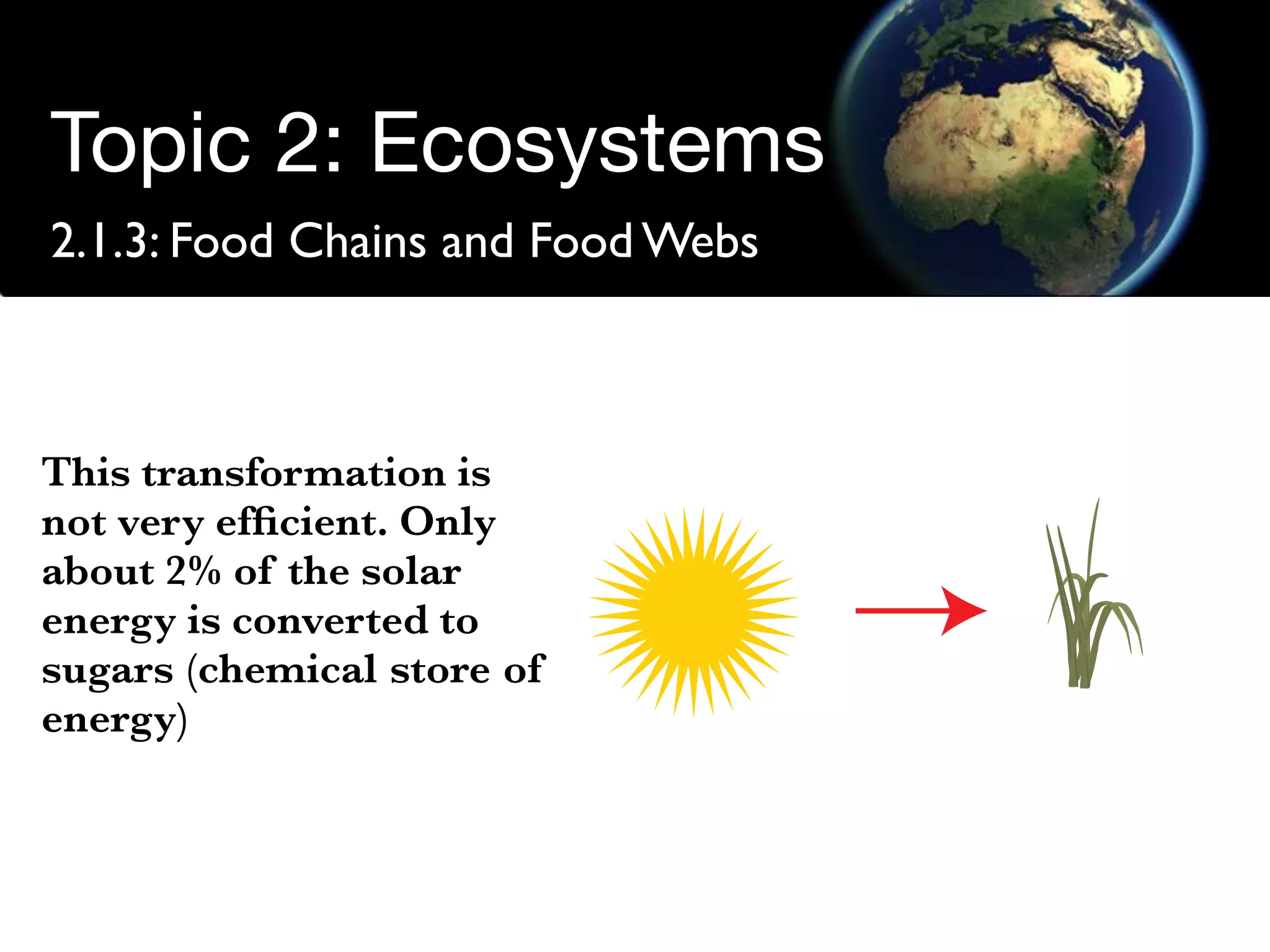 Food chains and food webs | PPT