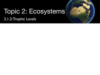 Food chains and food webs | KEY