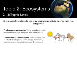 Food chains and food webs | PPT