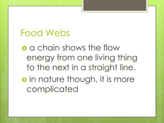 food chains and food webs | PPTX
