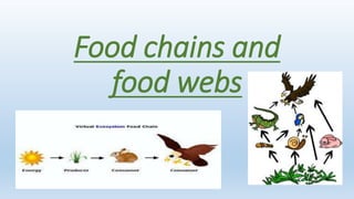 Food chains and food webs | PPTX | Food & Drink