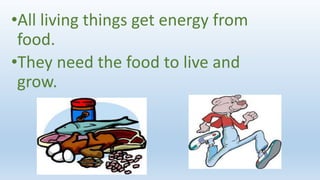 Food chains and food webs | PPTX | Food & Drink