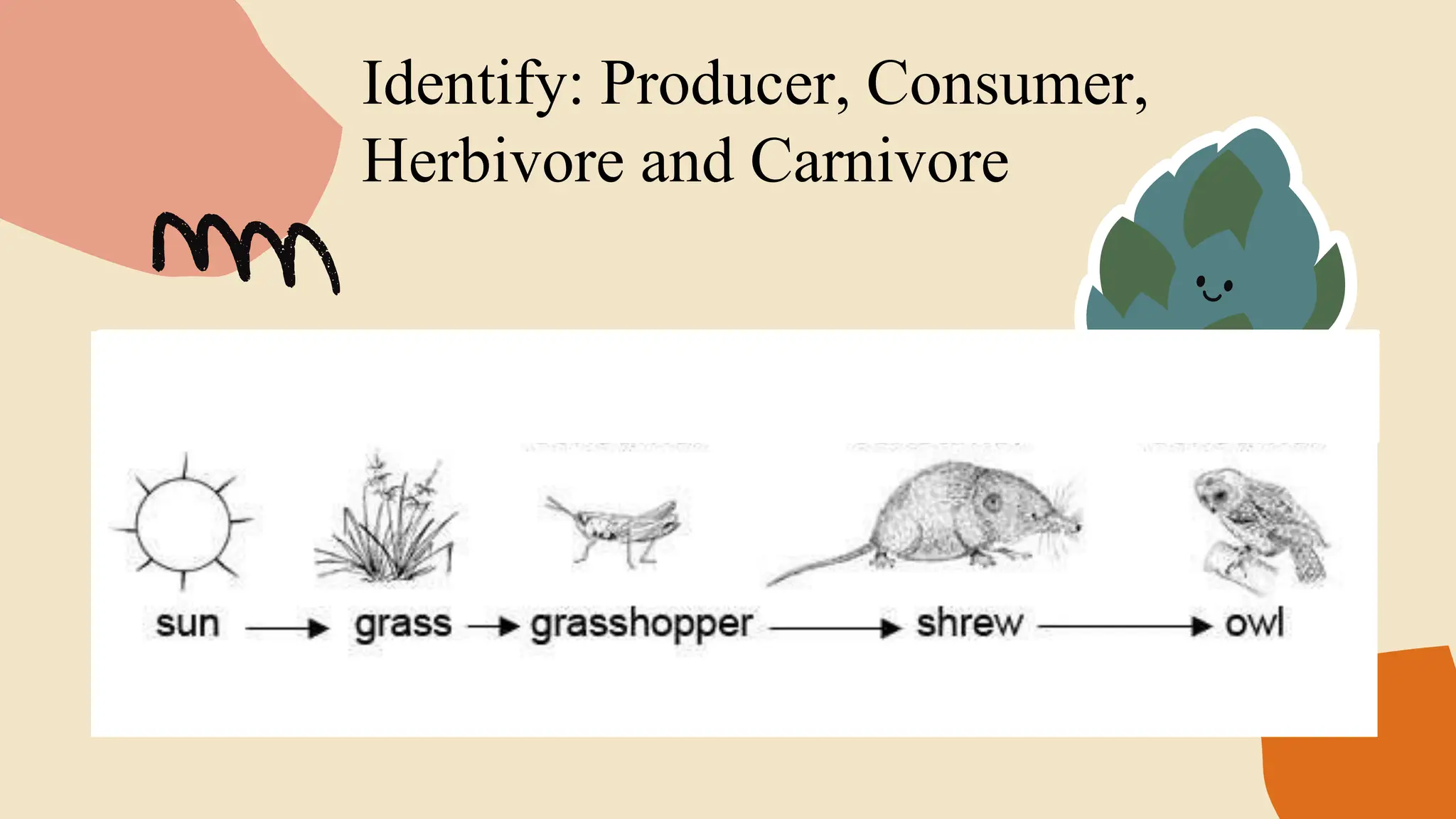 What are food chains and food webs in an ecosystem? | PPTX | Food & Drink