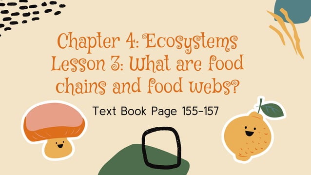 What are food chains and food webs in an ecosystem? | PPTX | Food & Drink