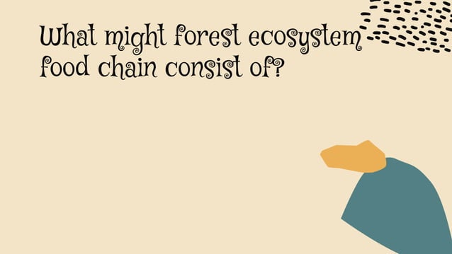 What are food chains and food webs in an ecosystem? | PPTX | Food & Drink