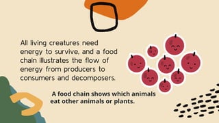 What are food chains and food webs in an ecosystem? | PPTX | Food & Drink