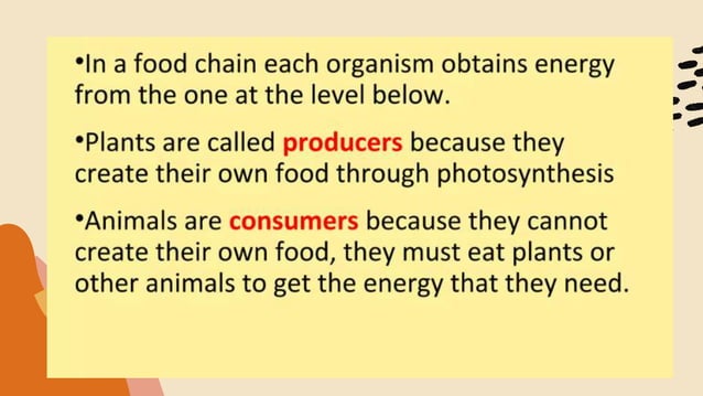 What are food chains and food webs in an ecosystem? | PPTX | Food & Drink